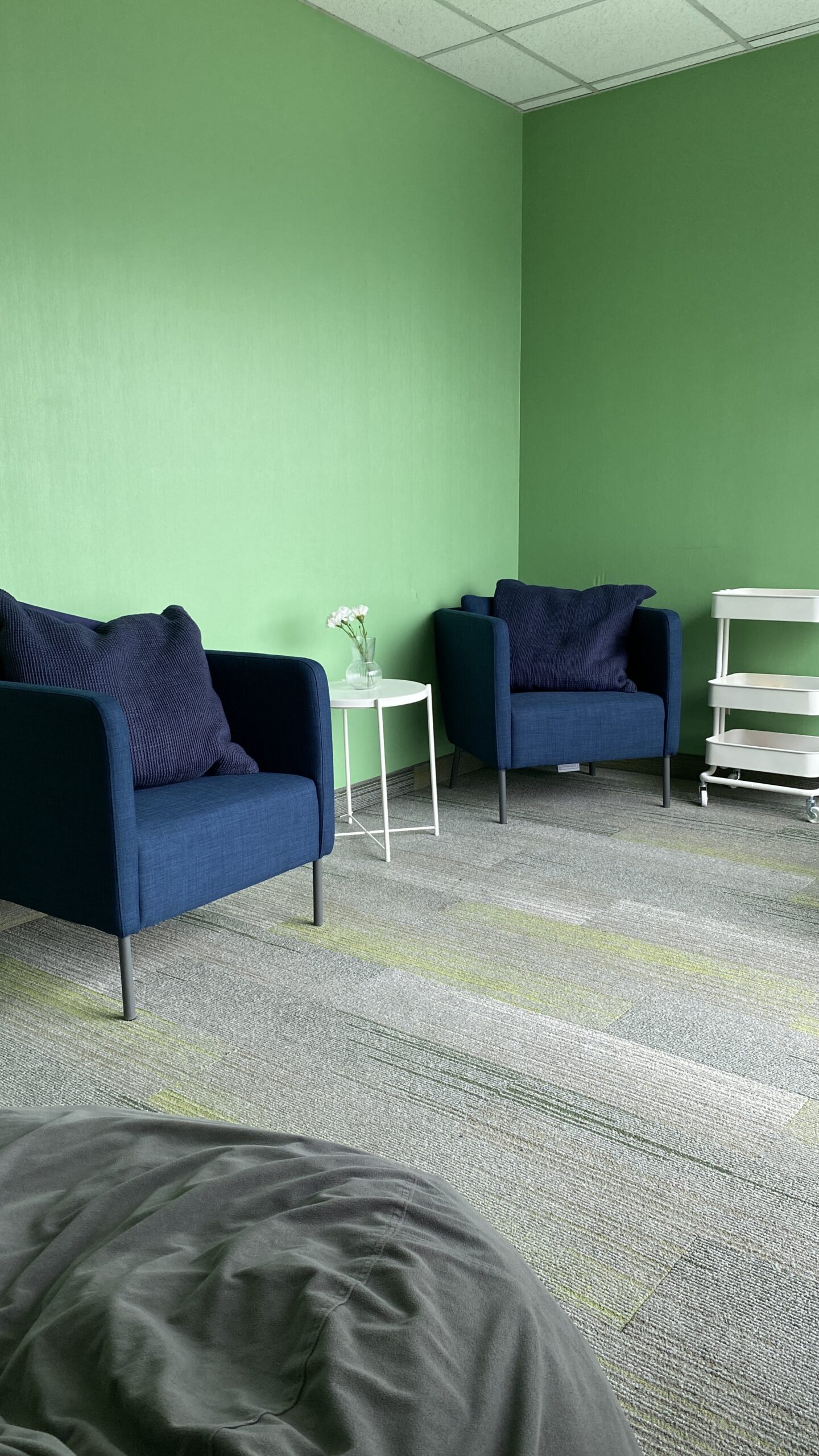 The Building & Amenities - Chestnut Residence at University of Toronto