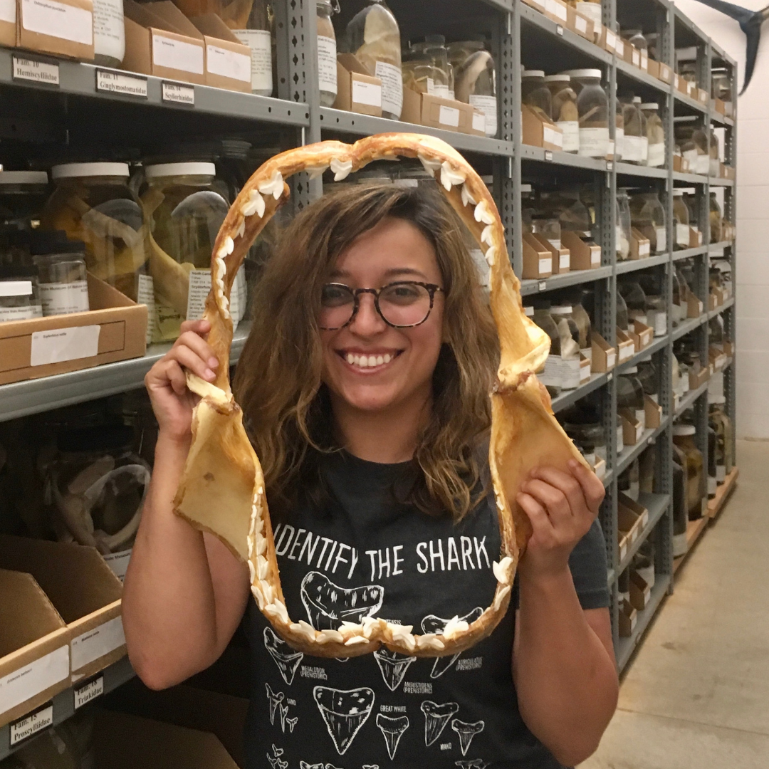 Say hello to our Faculty in Residence! - Chestnut Residence at ...